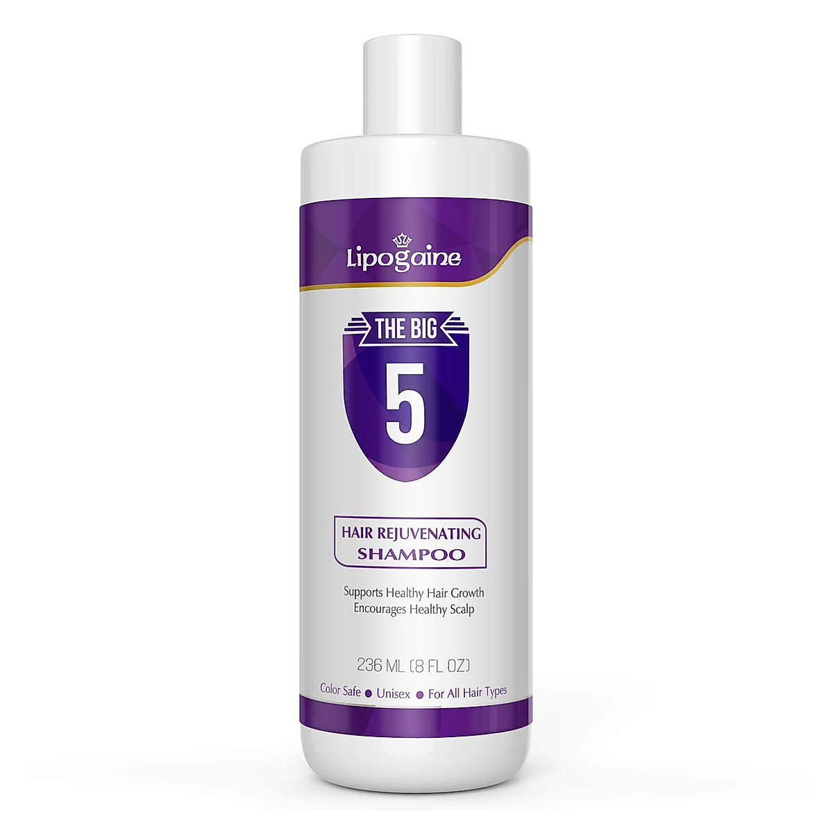 Lipogaine Big 5 Hair Stimulating All Natural Shampoo for Hair Thinning & Breakage (purple) (16oz)