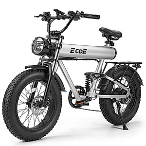 Adult Electric Bike 1200W Motor 32MPH, 48V 20AH Removable Battery EBike 20x4.0 Fat Tires, Beach Mountain Off-Road E Bbikes with Dual Shock Absorbers Bicicletas