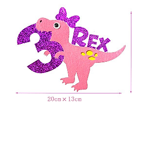 Pink 3rd Dinosaur BackdropParty Supplies