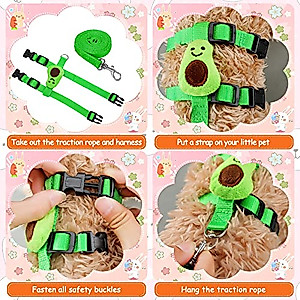 4 Sets Adjustable Bunny Rabbit Harness and Leash Set Small Pet Cute Vest Harness Leash Ferret Harness Guinea Pig Harness Ferret Leash with Decorations for Bunny Kitten Puppy, Small Pets (Fruit)