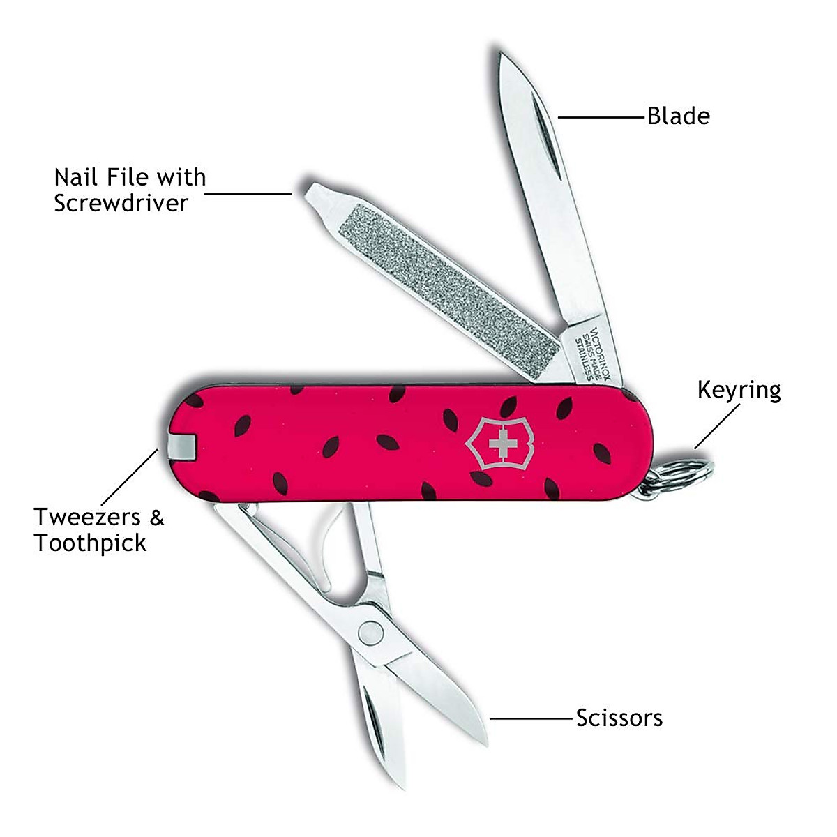 Watermelon Classic SD Swiss Army Knife by Victorinox