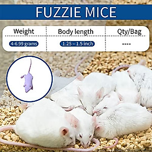 MiceDirect Frozen Fuzzie Feeder Mice Food for Juvenile Hognose, Corn & Milk Snakes (20 Count)