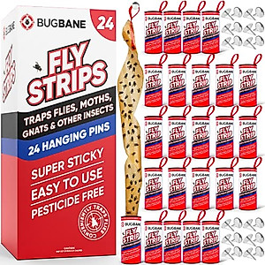 24 Fly Strips Indoor Sticky Hanging with Pins. Paper Tape for Indoors and Outdoor. Catcher Ribbon Traps Flypaper. Fruit Gnat