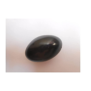SynSpiritStore Original Shaligram/Shalagram Shila Stone (Approx. 2 Inch) for Lord Vishnu Pooja and Tulsi Pooja, Nepal Gandaki River Stone