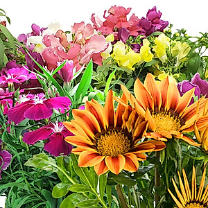 AeroGarden Mountain Meadows Flower Seed Pod Kit (7-pod)