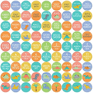 My Life as a Baby: A First-Year Calendar (Dinosaurs)