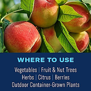 BioAdvanced Organics Brand Tomato, Vegetable & Fruit, Ready-to-Use, 24 oz