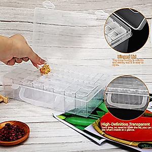OPELETNNT 48 Slots Plastic Seed Storage Organizer Box in 2 Size,Transparent Reusable Seed Container Organizer with Label Stickers, Garden Seed Storage Organizer Container for Seeds, Plant, Vegetable
