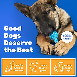 AMZpets 10 Dog Toys for Small Dogs and Puppies, Squeaky Dog Toys Rope Toys for Plush Games, with Chewing Ropes/Balls/Rubber Bone/Carry Bag, Variety Playing Toys Set for Toss and Tug Play