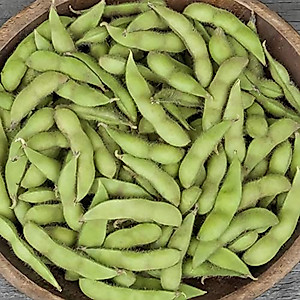 50 Pcs Midori Giant Edamame Seeds Heirloom HIGH Germination Rate Fresh Garden Seeds Non-GMO