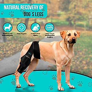Dog Leg Braces for Back Leg - Dog Knee Brace For Support With Cruciate Ligament Injury, Joint Pain And Muscle Sore,- Dog Knee Brace for Torn ACL Hind Leg Adjustable Rear Leg Braces (Large)
