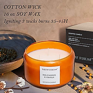 TALENT FAREAST Red Cherry & Vanilla Highly Scented Candle for Home 16 OZ Aromatherapy Candles Relaxing Enhanced Aroma Luxury Gift 40 Hour Long Lasting Natural Soy Wax Premium Fragrance Glass Candle