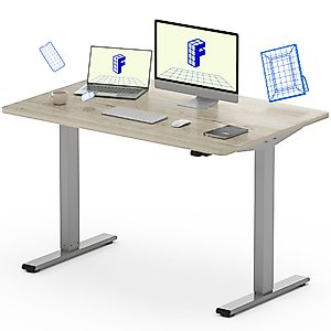 FLEXISPOT EC1 Essential Adjustable Desk Electric Standing Desk (48x24 Inch, Gray Frame+White Wood Grain)