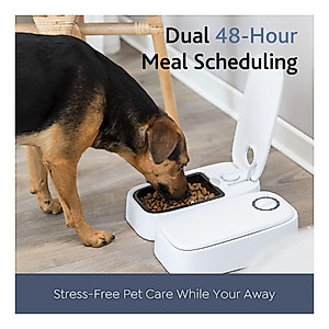 TRIXIE TX2 Automatic Food Dispenser, Dual Compartments, Dual Timer, 48 Hour Timer, Battery Operated, Gray with Black (24372)