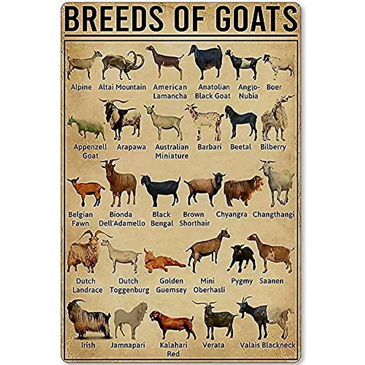 EWERW Goat Knowledge Metal Tin Sign Breeds Of Goats Learning Poster Library School Education Living Room Kitchen Bathroom Home Art Wall Decoration Plaque Gift 8inchx12inch, 8Inch X 12Inch