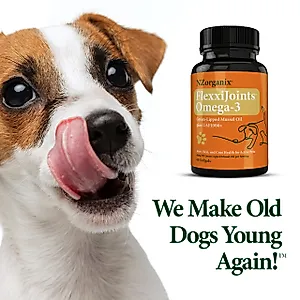 FlexxiJoints Omega-3 Hip and Joint Supplement • Green-Lipped Mussel Omega-3 Oil for Dogs • 100% New Zealand Green-Lipped Mussels (60 Softgels)