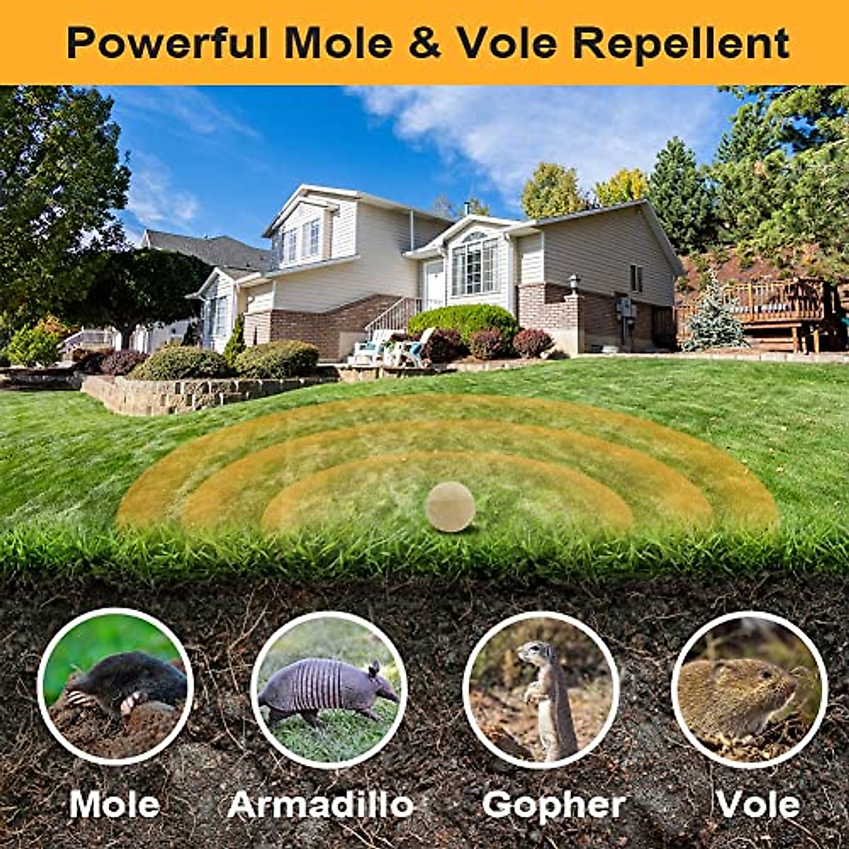 Pufado Mole Repellent, Vole Repellent Outdoor, Gopher Repellent, Mole Repellant for Lawn, Mole Deterrent for Yard, Mole Control, Keep Mole and Vole Out of Your Garden, Safe Around Pet & Plant -4 Packs