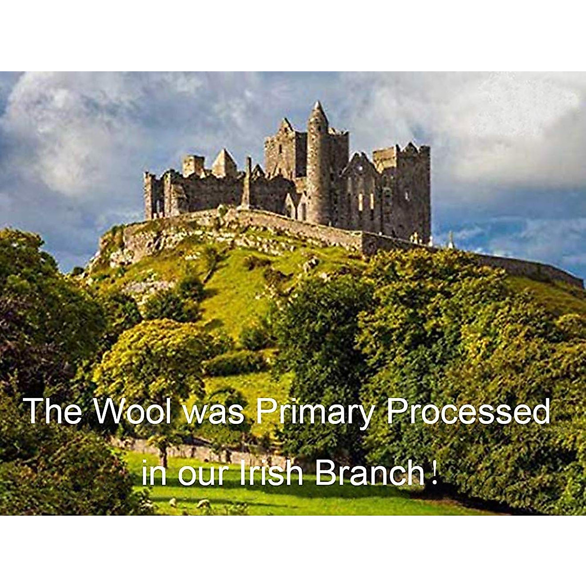 Men's Vintage Newsboy Gatsby Hat Blend Wool Flat Ivy Cabbie Autumn Winter Cap Boyfriend Gift M