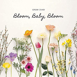 Bird & Butterfly Wildflower Pollinator Mix - 65,000+ Seeds Perennial & Annual Flowers - Planting Outdoors for Hummingbirds & More - Calendula, Yarrow, Poppy, Baby's Breath