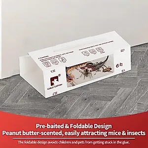 LULUCATCH Spider & Insect Glue Traps,12 Pack Pre-baited Sticky Glue Boards, Foldable Non-Toxic Bulk Spider Cricket Traps, Adhesive Bug Catcher Traps Indoor for Cockroach, Scorpions, Flea, Centipedes