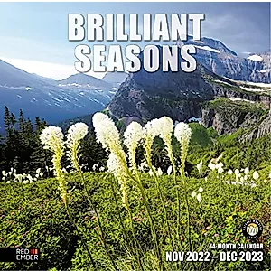 RED EMBER Brilliant Seasons 2023 Hangable Monthly Wall Calendar | 12" x 24" Open | Thick & Sturdy Paper | Giftable | Simply Stunning