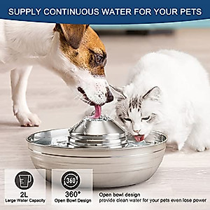 OPOLEMIN Stainless Steel Cat Water Fountain with 8 Replacement Filters, 67oz/2L Cat Water Dispenser Easy Assemble& Clean, Pet Water Fountain for Small Cats Dogs Inside (with Power Adapter)