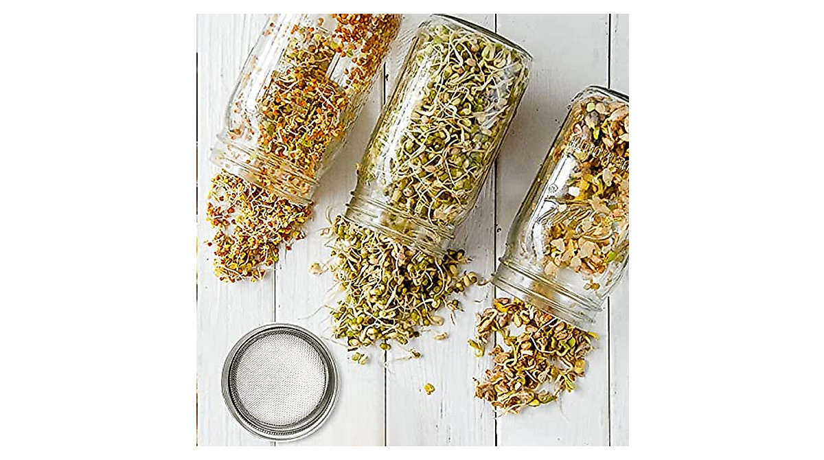 Home Seed Sprouting Kit | Grow Fresh Broccoli, Alfalfa & More