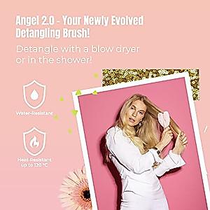 Detangling Hair Brush - Anti Static Angel Wing Hair Brush with Soft & Flexible Bristle for Straight & Wavy Hair - Tangle Angel Hair Detangler Brushes for Blow Drying & Shower - Gloss Pink