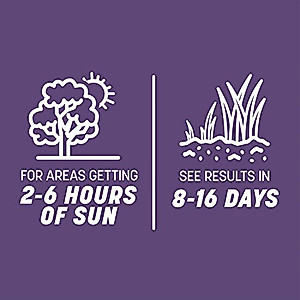 Pennington Smart Seed Dense Shade Grass Mix 7 lb