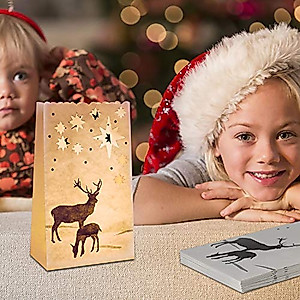 Homemory 24-Count Christmas Luminary Bags - Flame Resistant Tealight Candle Bags - Stars Elks Deer Luminaries for Thanksgiving, Christmas, Party Decoration