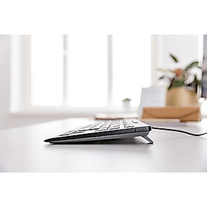 CHERRY Stream Keyboard TKL Wired USB TenKeyLess Compact Version without Number Pad. Silent Keystroke. Ideal for Office and Industrial Use.