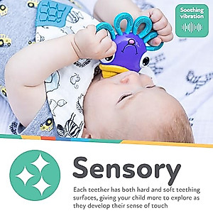 Nuby Vibe-eez Vibrating Teether - Battery Powered - Textured Surface and Easy to Grasp Toy for Baby Teething Relief - 3+ Months - Octopus