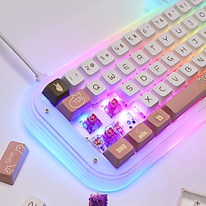EPOMAKER Mini Cat 64 60% Hot Swappable Acrylic RGB Wired Mechanical Gaming Keyboard, VIA Programmable with Dye Sublimation PBT Keycaps for Mac/Win/Gamers(MIA Keycaps, Epomaker Flamingo Switch)