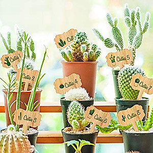 Whaline 60Pcs Bamboo Plant Labels with 1 Marker Pen Eco-Friendly T-Type Wooden Plant Sign Tags Wood Garden Markers Decorative Garden Tags for Seed Potted Herbs Flowers Vegetables (6.5 X 10 cm)