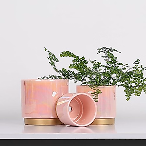 Gepege Pink Indoor Plant Pots for Plants, Ceramic Planter with Drainage Hole, 6.0 inch+5.0 Inch+4.0 Inch. Succulent Orchid Flower Pot - Rainbow Pearl Glaze
