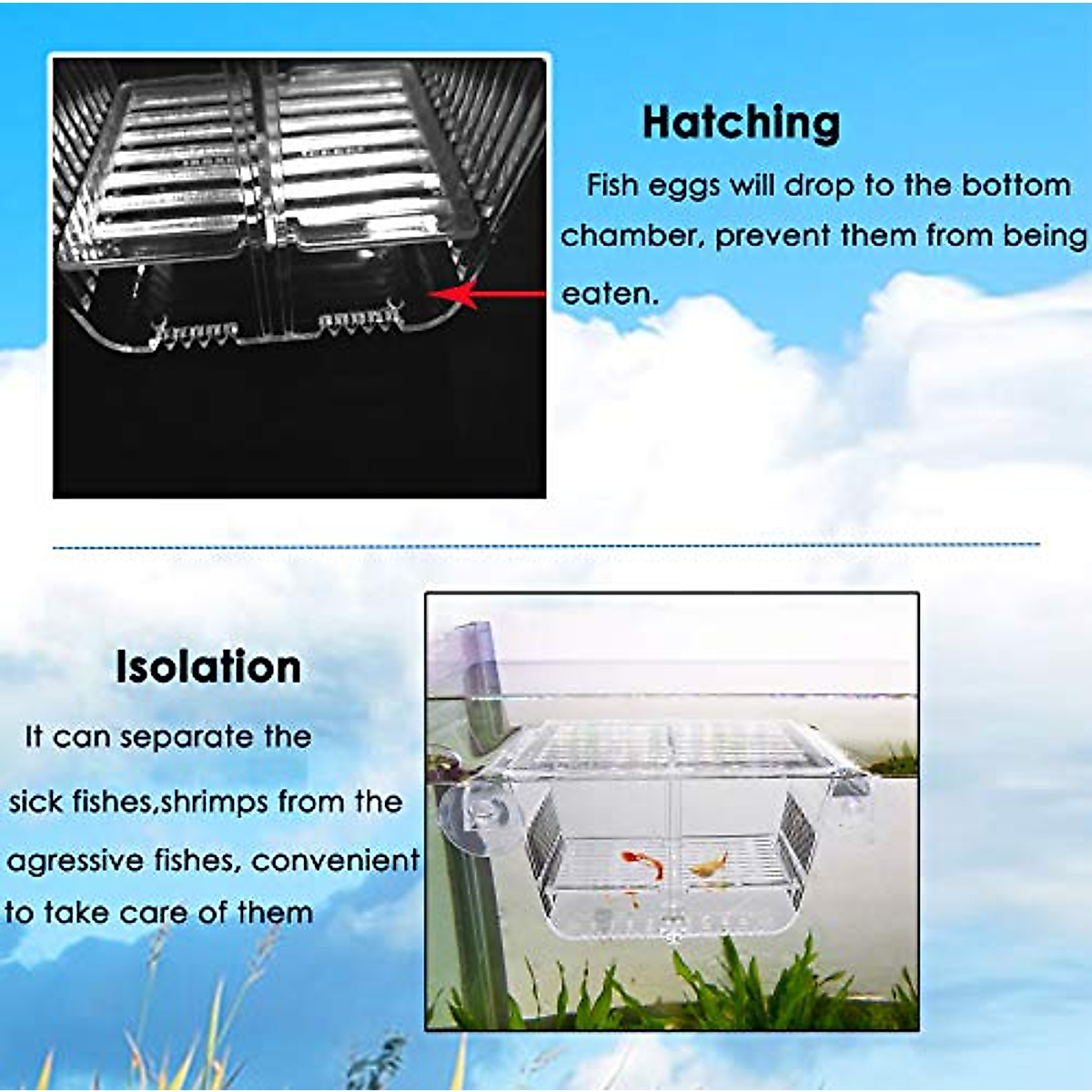 capetsma Fish Breeding Box, Acrylic Fish Isolation Box with Suction Cups, Aquarium Acclimation Hatchery Incubator for Baby Fishes Shrimp Clownfish and Guppy. Small Size (S)