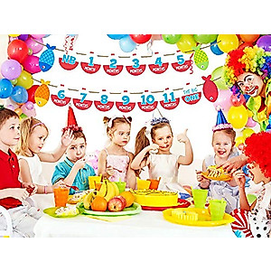 Fishing Milestone Banner Children From Birth to One Year Old Record Photo Banner Set of 1