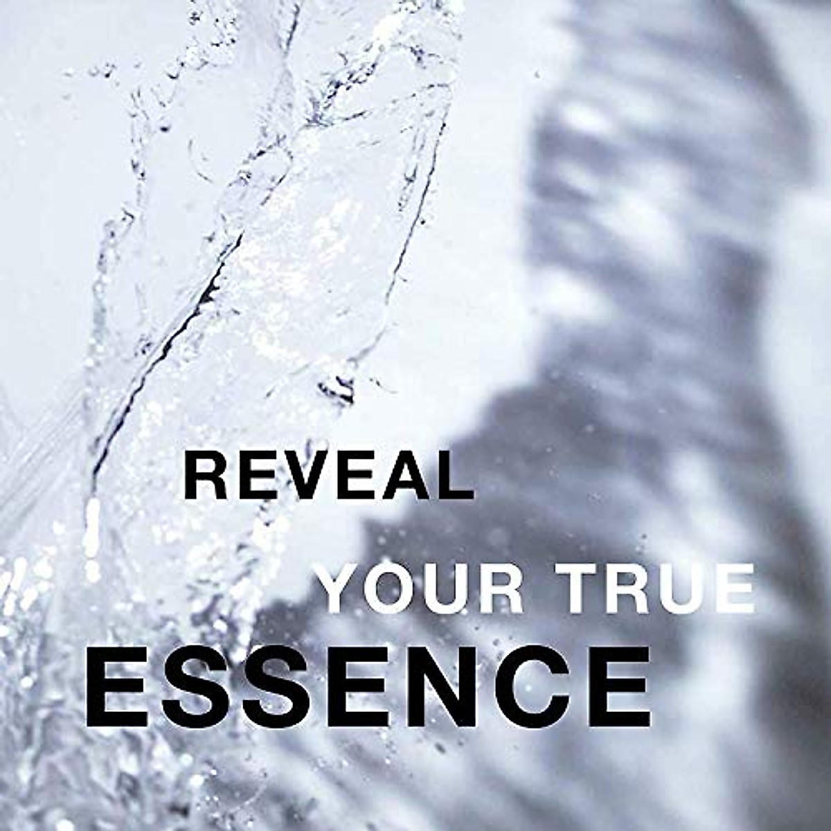 David Beckham The Essence Eau de Toilette Spray for Men 2.5 Ounce