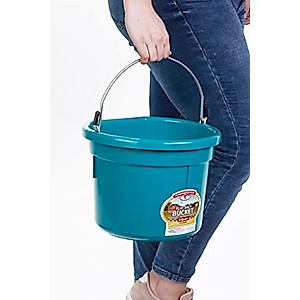 Little Giant® Flat Back Plastic Animal Feed Bucket | Animal Feed Bucket with Metal Handle | Horse Feed & Water Bucket | 8 Quarts | Teal