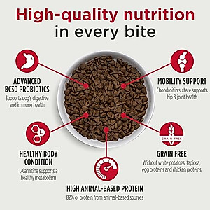 Nulo Freestyle All Breed Senior Dry Dog Food, Premium Grain-Free Dog Kibble with Healthy Digestive Aid BC30 Probiotic and Chonoitin Sulfate for Hip & Joint Support, 6 Pound (Pack of 1)