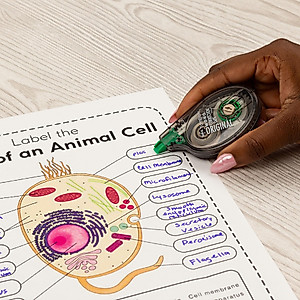 Tombow 68627 MONO Correction Tape, Non-Refillable, 1/6" x 394", White Tape (Pack of 2)