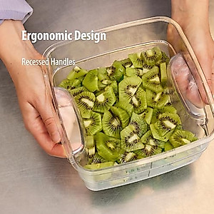 Cambro FreshPro 2Qt Food Storage Container in Clear for Industrial and Kitchen Use, Pantry Organization and Ingredient Freshness