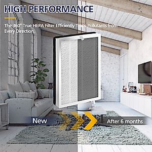 25 Replacement Filter for 25 Air Purifier S1/W1/B1, 3-in-1 H13 True HEPA Activated Carbon Filter