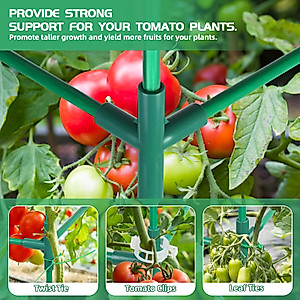 FITTDYHE 3 Pack Tomato Cages for Garden 48 Inches with 3Pcs Tomato Planter(10-Gallon), Upgraded Fiberglass Tomato Trellis Garden Plant Cage, Tomato Plant Support with Grow Bags, Clip,Twist Ties