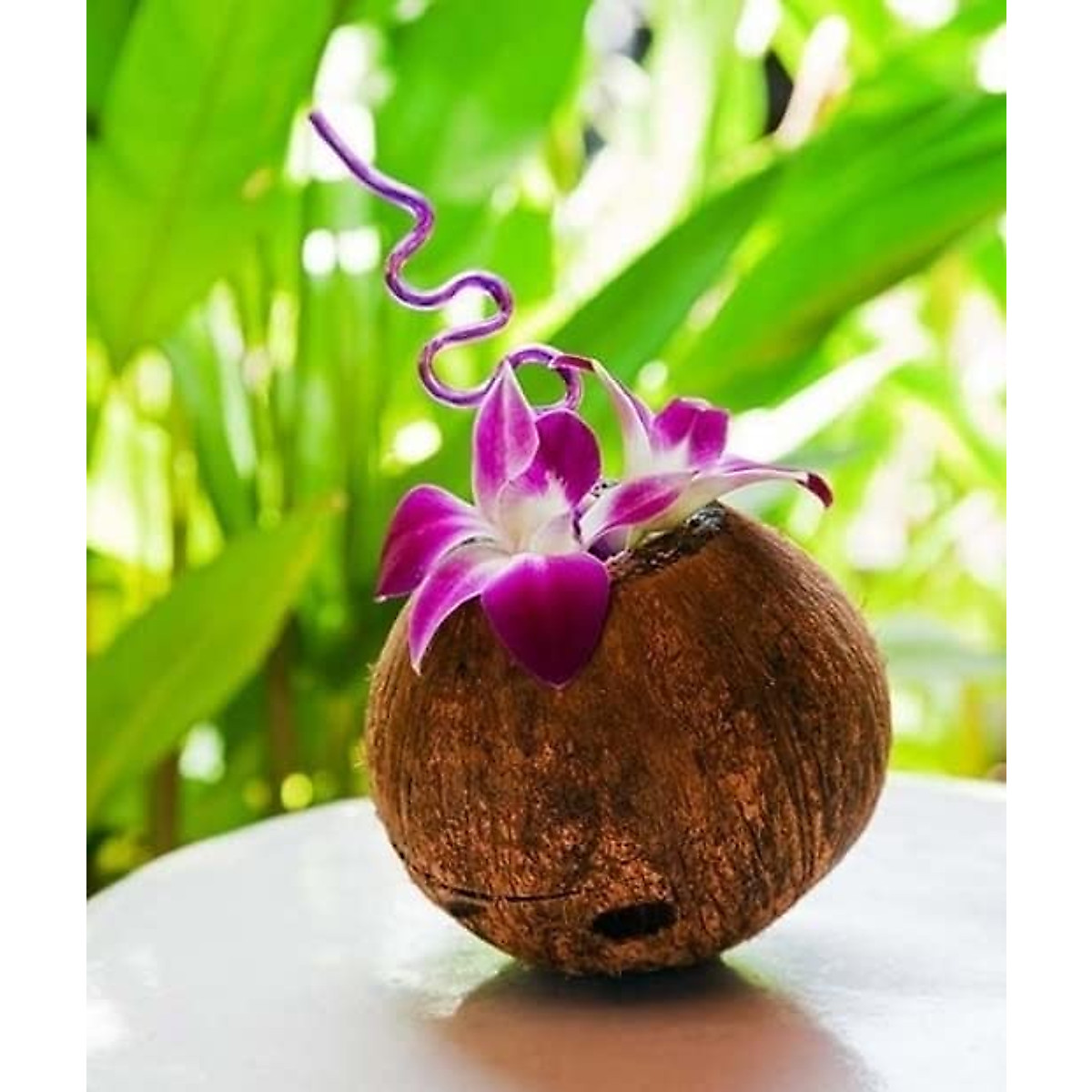 Sunne Tropical OrchidClub USA Loose Bloom Fresh Orchid Flower Head DIY Lei, food & drink decoration (100 PURPLE)