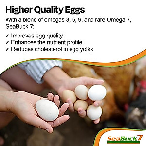 SeaBuck 7 Chicken & Bird Supplement with Sea Buckthorn to Improve Egg Quality (1-Month Supply for 20 Chickens) – Earlier Laying, Egg Production Booster & Higher Quality Eggs