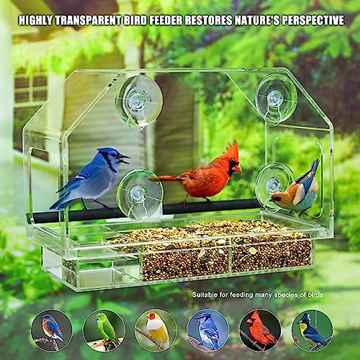 EHONBFLC Window Bird Feeders with Strong Suction Cups, Drain Holes, Clear Bird Feeder for Outside,Balcony Glass Mount, Acrylic Bird Feeders, Large Bird House with 3 Compartment Removable Tray