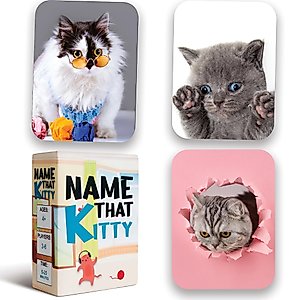 Name That Kitty - Cat Card Game for Kids 8-12 is Great for Cat Crafts, Cat Games, and Cat Memory Fans! Fun for Families, 9-Year-Old Girl Gifts, Cat Toys for Kids, or Cat-Themed Toys for Girls 6-8