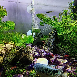 Boao 32.8 ft Aquarium CO2 Proof Tubing Clear Airline Tubing Aquarium Air Tubing 5/16 Inch with 12 Pcs Suction Cups Aquarium Air Pump Accessories for Fish Tank