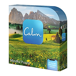 Spin Master 300-Piece Calm Jigsaw Puzzle for Relaxation, Stress Relief, and Mood Elevation, for Adults and Kids Ages 8 and up, You Belong Here